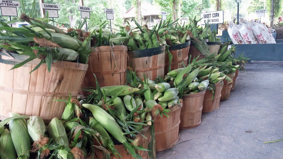 Shaul Farms Produce Stand is Closed – Catskill Eats